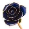 Midnight Blue Gold Dippsed Rose