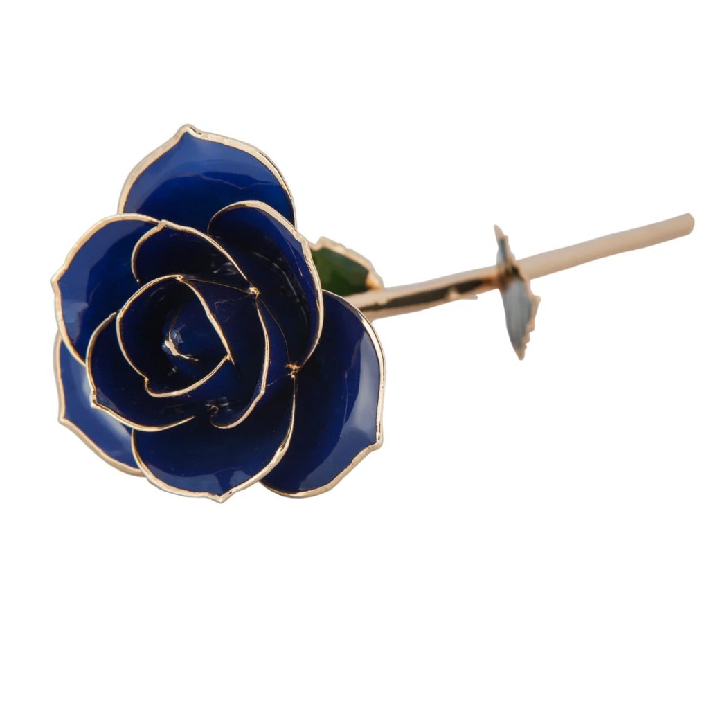 Midnight Blue Gold Dippsed Rose