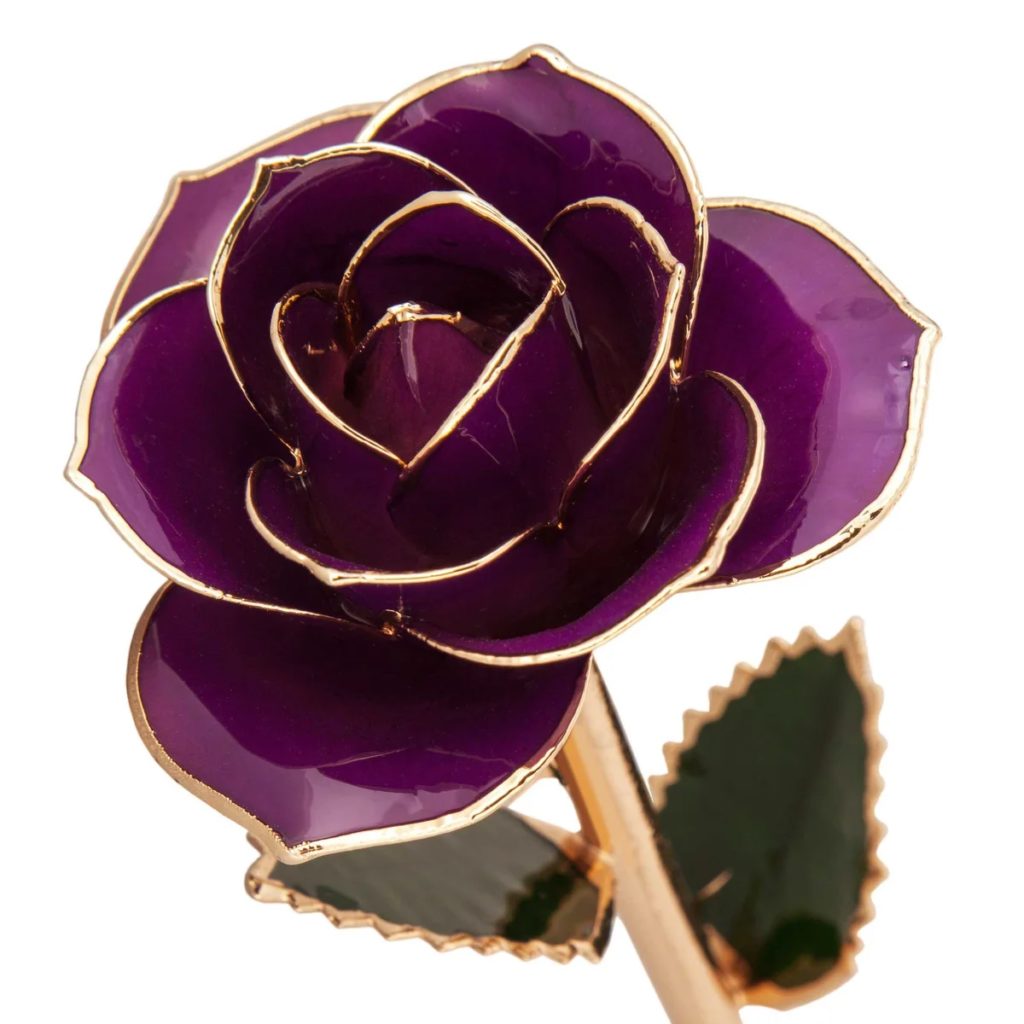 Royal Purple Gold Dipped Rose