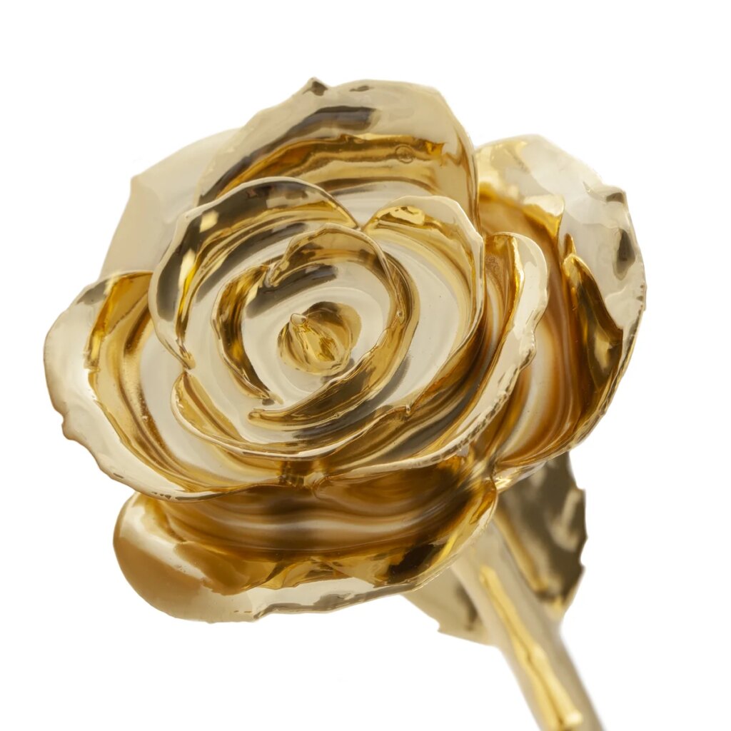 Glamorous Gold Dipped Rose